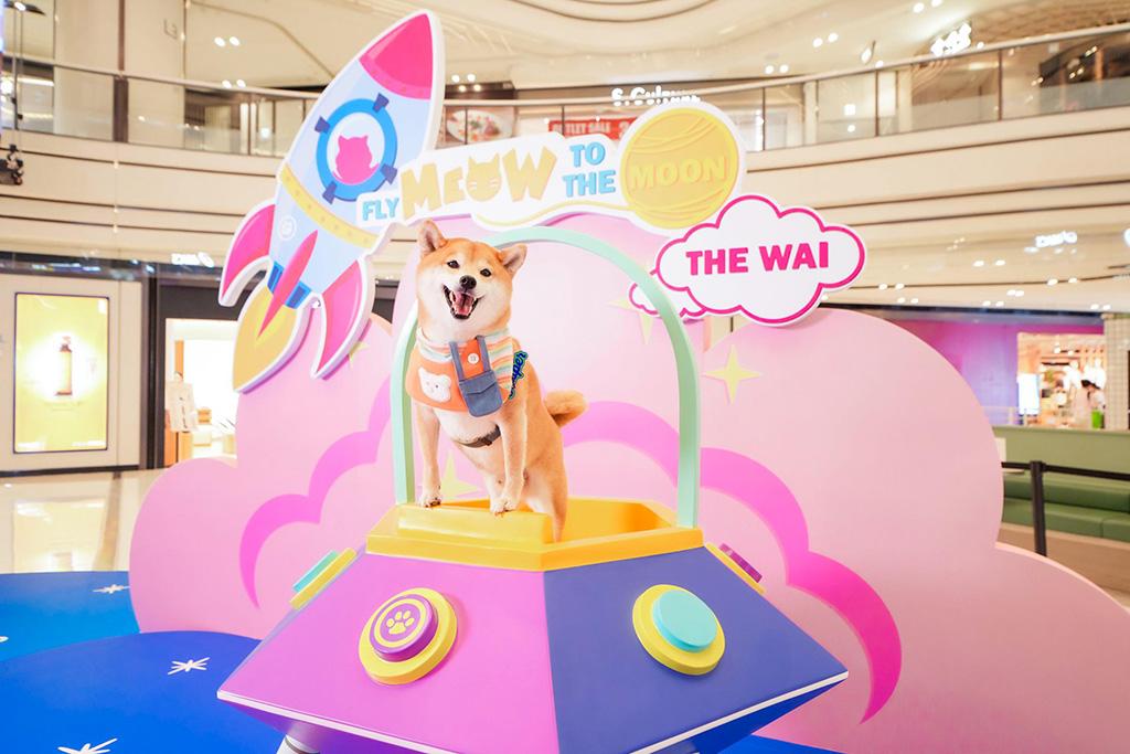 寵物中秋好去處：圍方「中秋節快樂！Fly Meow To The Moon」 - 20251001 - HOT PICK - 明報 Our ...