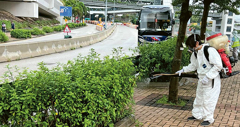 基孔肯雅熱入港 局部傳播風險中高 12歲患者曾遊順德 袁國勇籲非必要勿往佛山